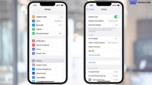 APN Settings For Unlimited Data (Quick Configuration, Tips, Fixes)
