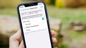 How To Switch From SafeLink To QLink: Beginner's Guide
