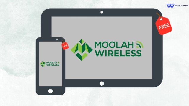 Moolah Wireless Tablet - How to Get, Eligibility, Application Process - World-Wire