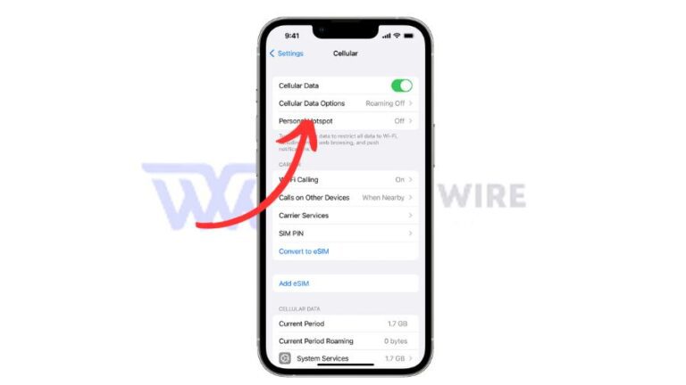 How to Change APN Settings (Android, iPhone, Step-by-Step) - World-Wire