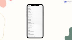 What are the APN Settings for Straight Talk Verizon 2024?