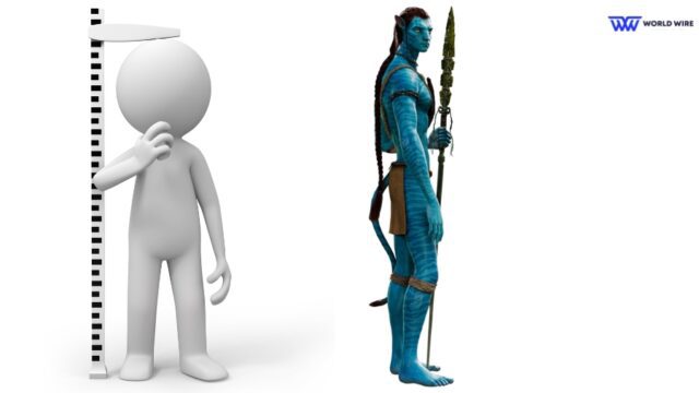 How tall is Jake Sully - Avatar & Human Form