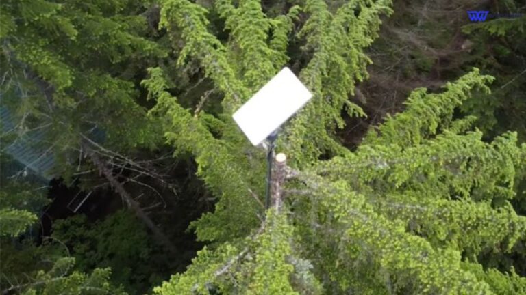 Starlink Tree Mount Installation - Step by Step Guide